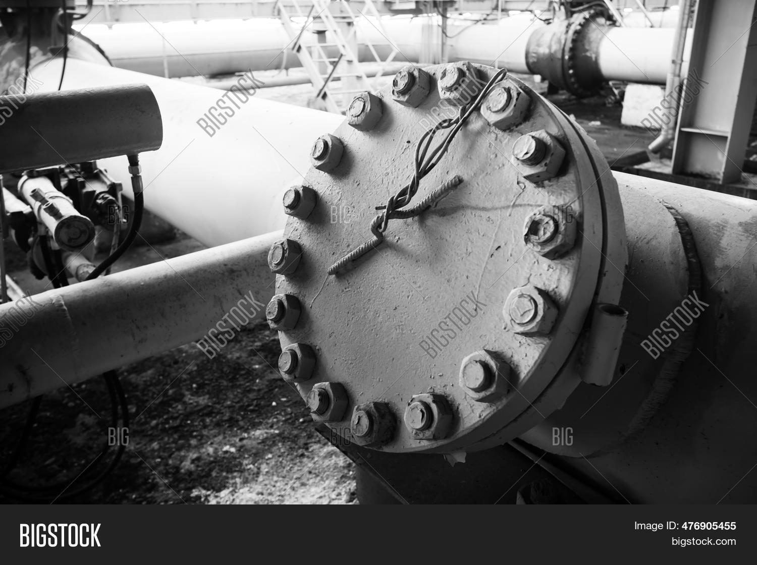 Hatch Inspection Main Image & Photo (Free Trial) | Bigstock