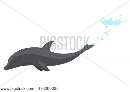 Dolphin Jumping Out Vector & Photo (Free Trial) | Bigstock