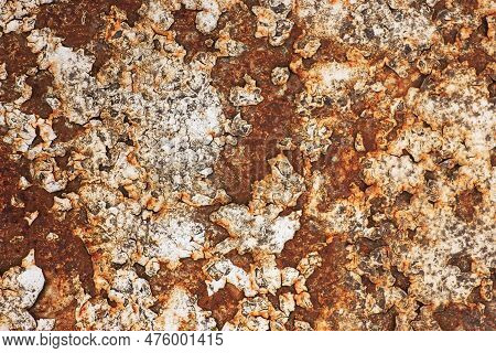 Rusted White Painted Image & Photo (Free Trial) | Bigstock
