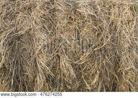 Texture Hay. Fin Made Image & Photo (Free Trial) | Bigstock