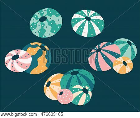 Collection Round Sea Vector & Photo (Free Trial) | Bigstock