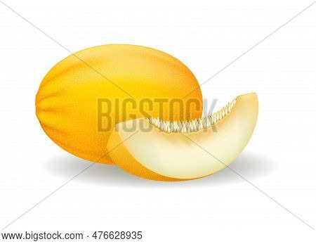 Canary Melon Vector & Photo (Free Trial) | Bigstock