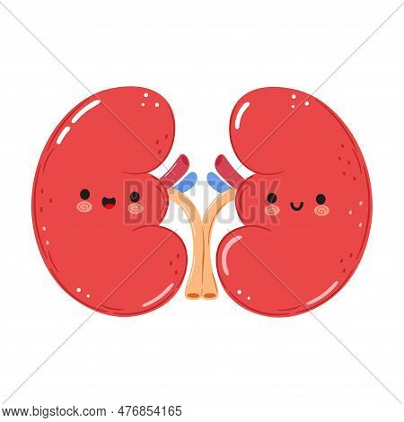 Cute Funny Kidneys Vector & Photo (Free Trial) | Bigstock
