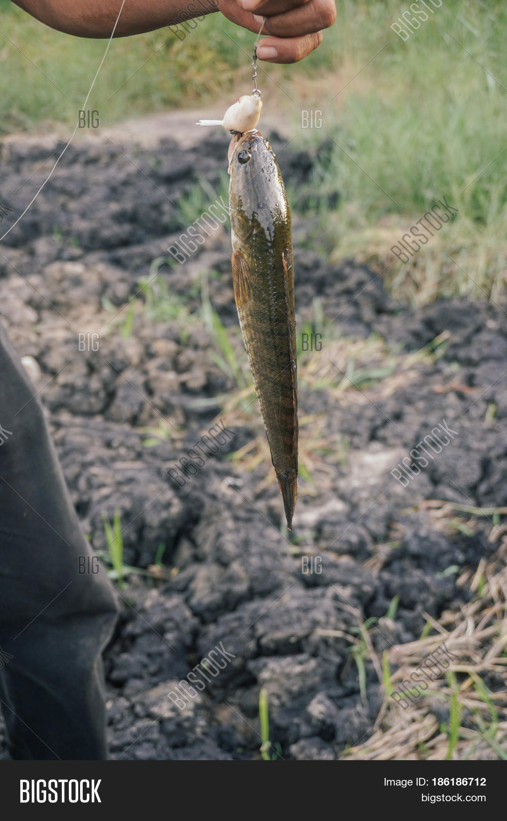 Fisherman Holding Image & Photo (Free Trial) | Bigstock