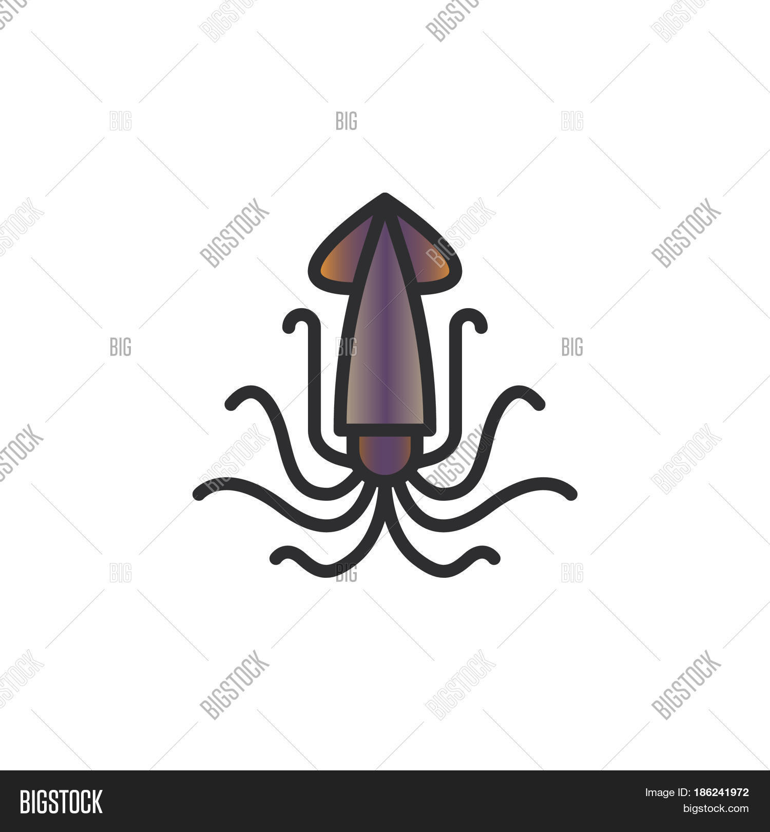 Squid Calamari Filled Vector & Photo (Free Trial) | Bigstock