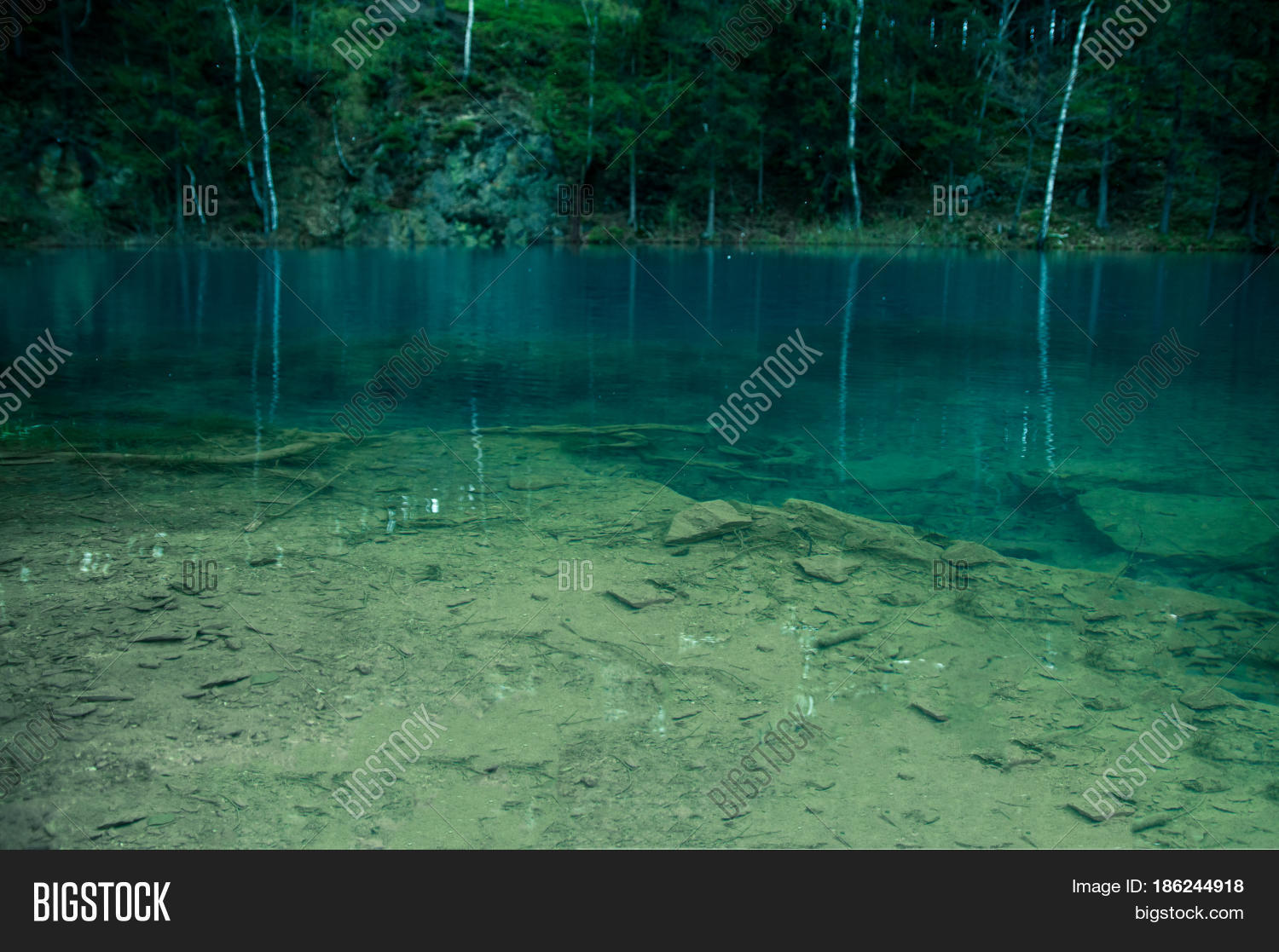 Magical Pond Image & Photo (Free Trial) | Bigstock