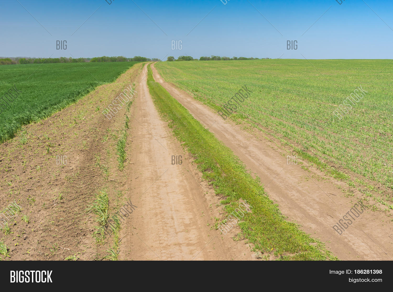 Classic Spring Image & Photo (Free Trial) | Bigstock