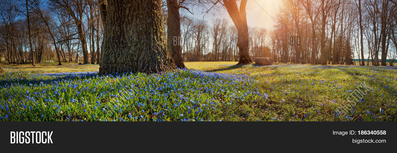 Panoramic View Spring Image & Photo (Free Trial) | Bigstock