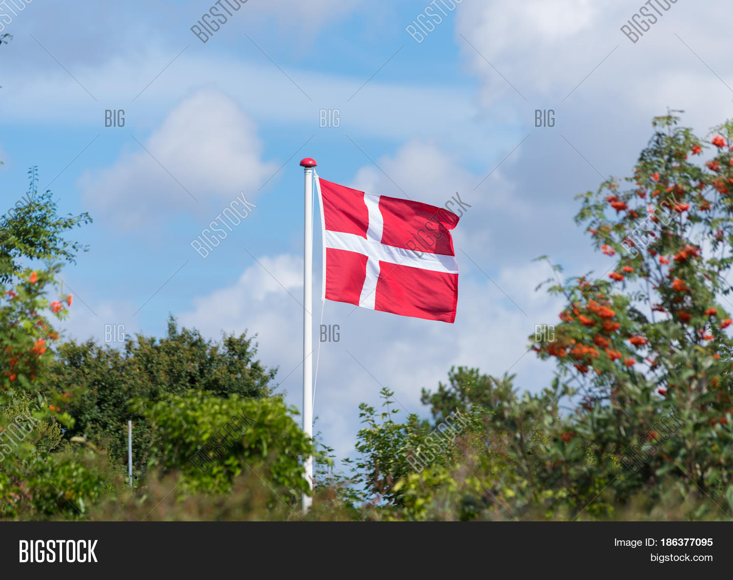 Danish Flag Waving Image & Photo (Free Trial) | Bigstock