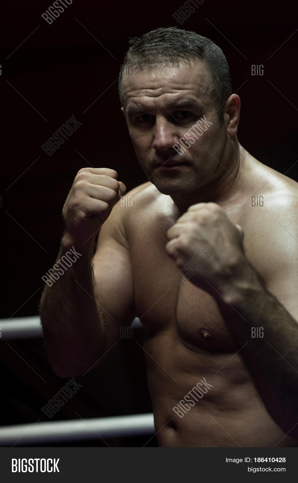 Professional Kickboxer Image & Photo (Free Trial) | Bigstock