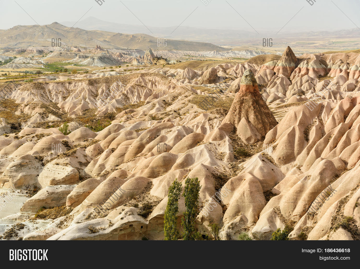 Red Rose Valley. Image & Photo (Free Trial) | Bigstock
