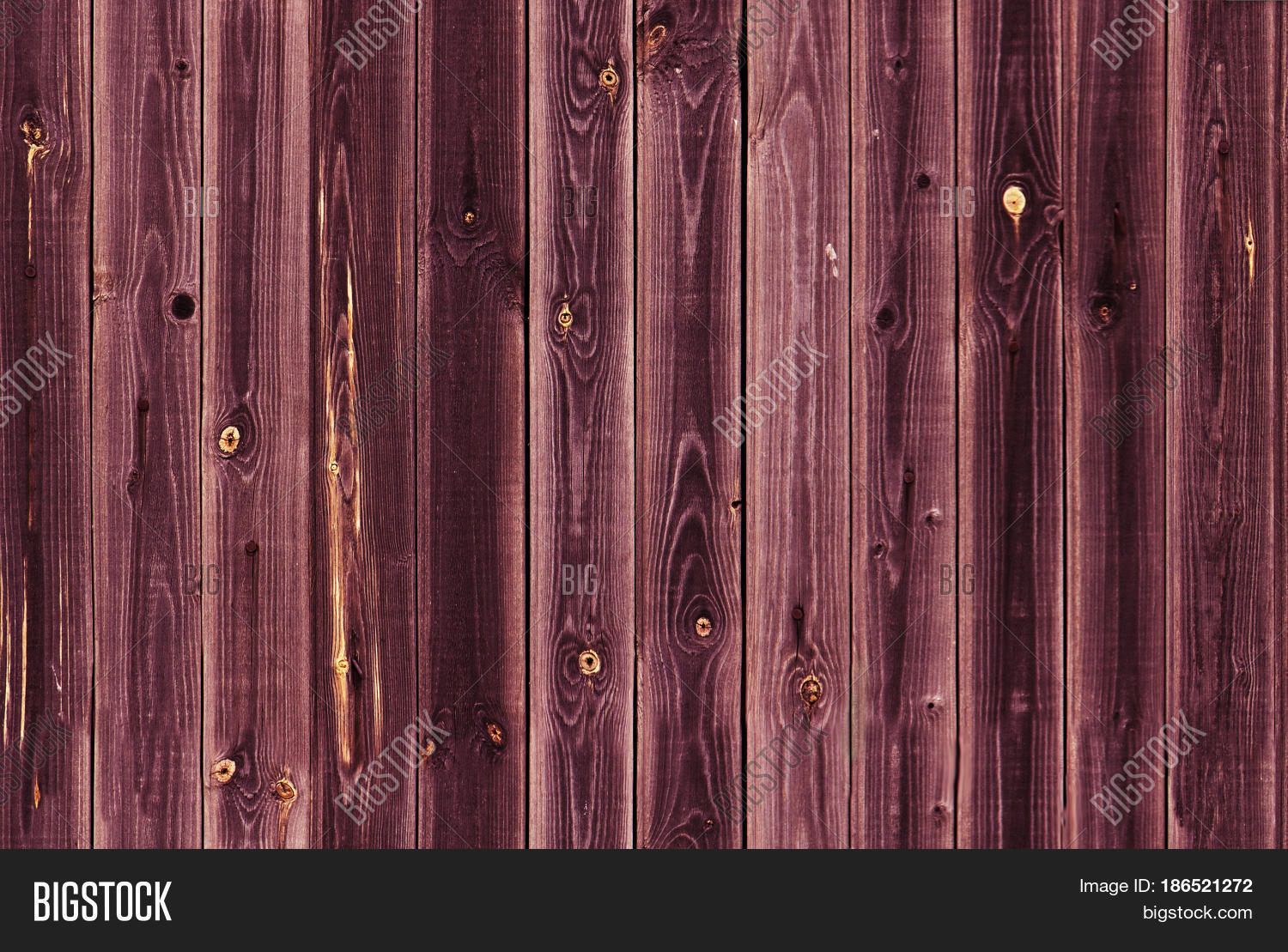 Mahogany Magenta Image & Photo (Free Trial) | Bigstock