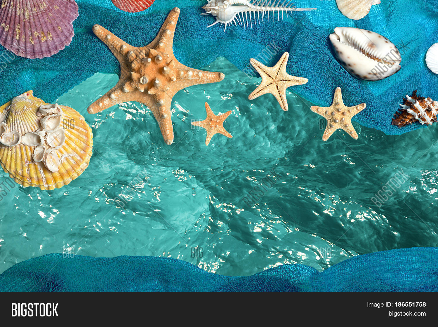 Marine Blue Background Image & Photo (Free Trial) | Bigstock