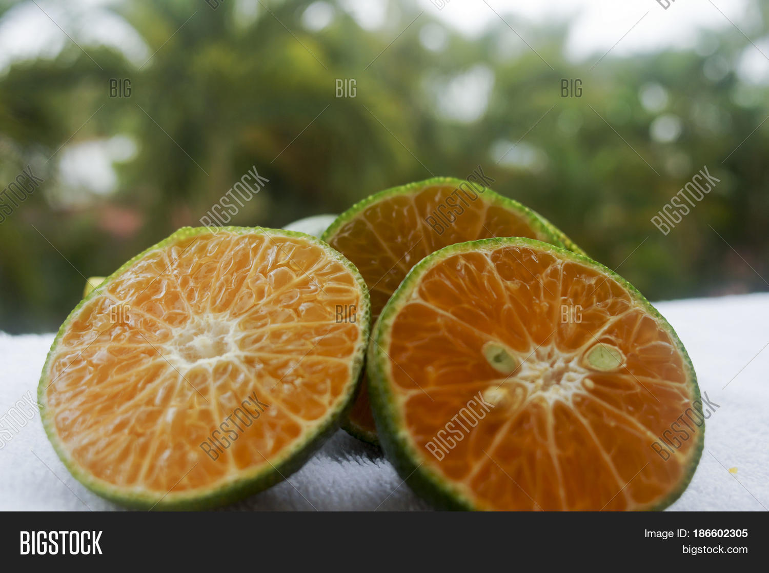 Red Citrus Fruit Green Image & Photo (Free Trial) | Bigstock