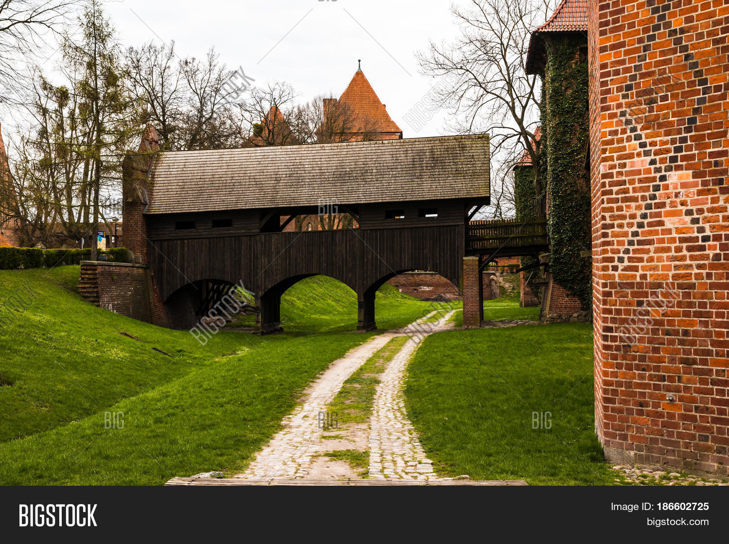 Big Beautiful Castle Image & Photo (Free Trial) | Bigstock