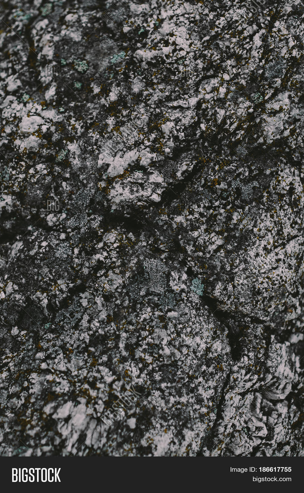 Rough Stone Surface. Image & Photo (Free Trial) | Bigstock