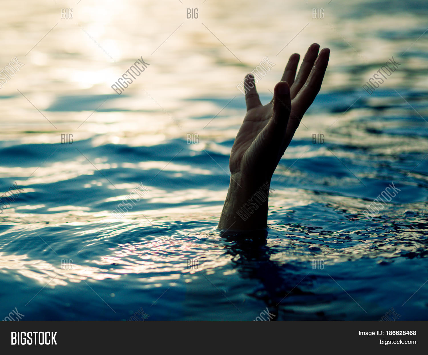 Drowning Victims Hand Image & Photo (Free Trial) | Bigstock