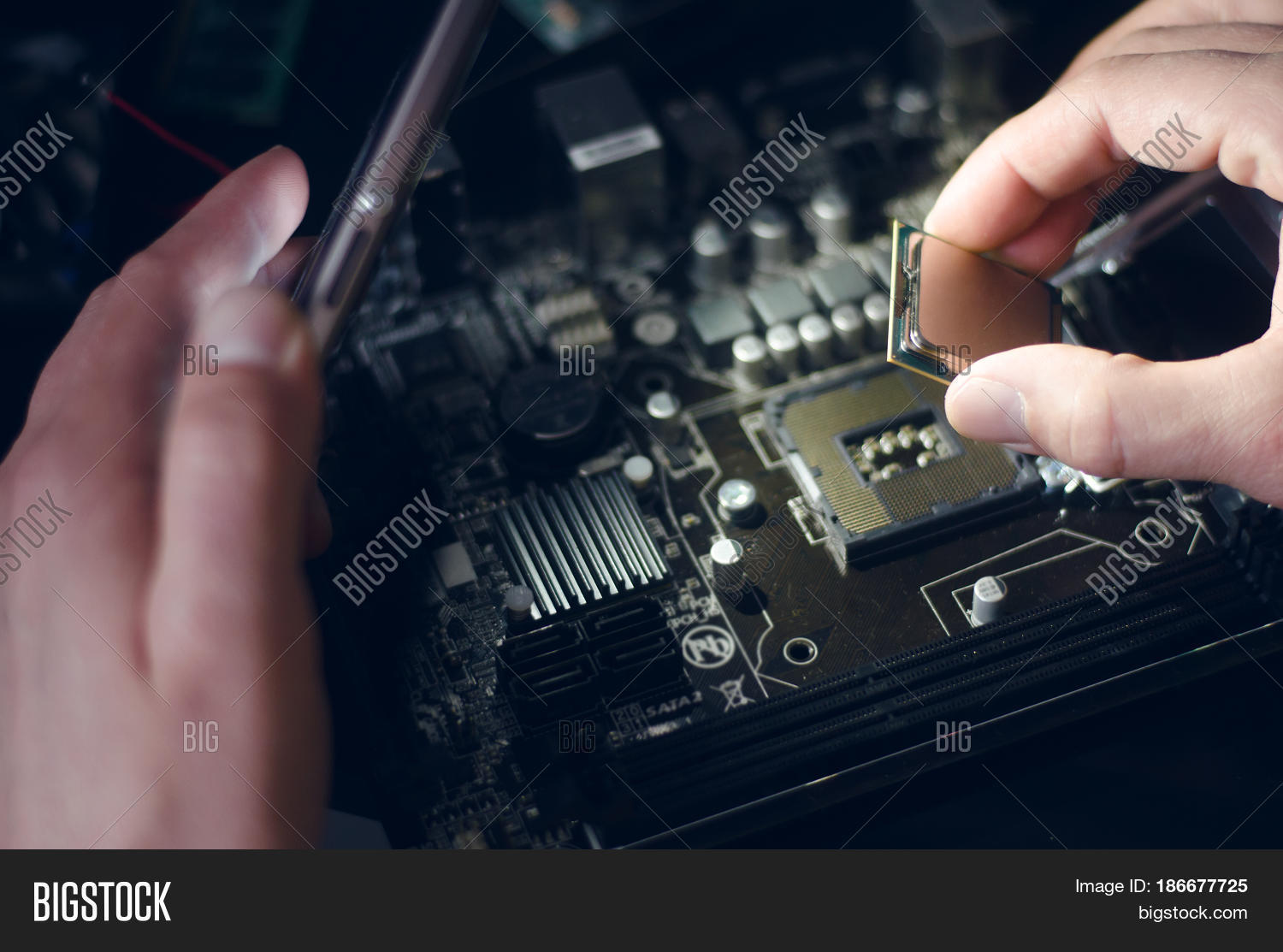 Computer Processor. Image & Photo (Free Trial) | Bigstock