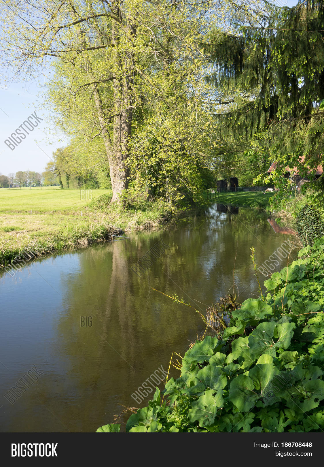 Mill Near Winterswijk Image & Photo (Free Trial) | Bigstock