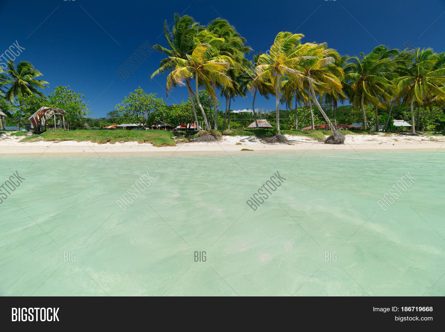 Samoa White Sand Beach Image & Photo (Free Trial) | Bigstock
