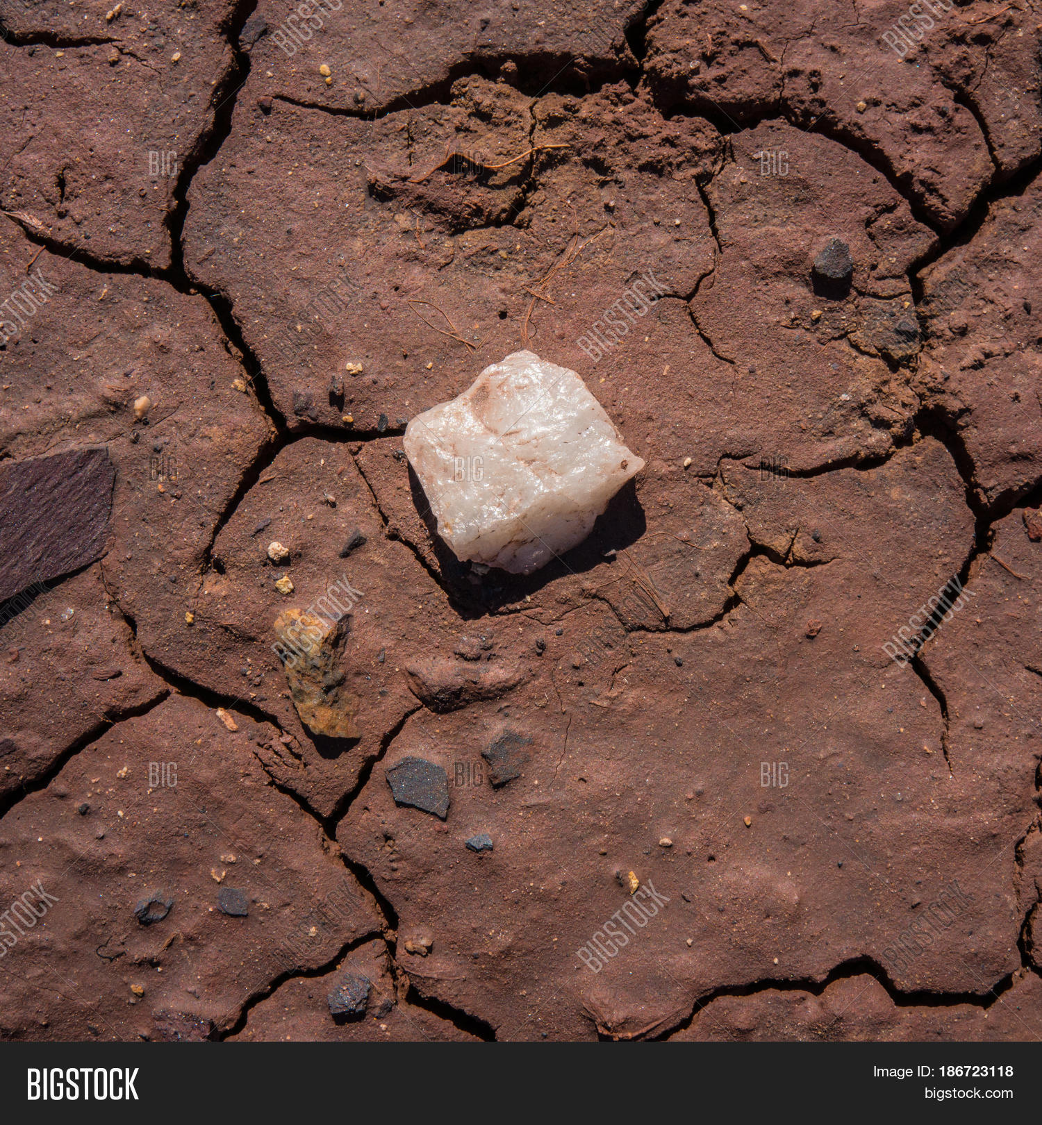 Fissured Soil Area Image & Photo (Free Trial) | Bigstock