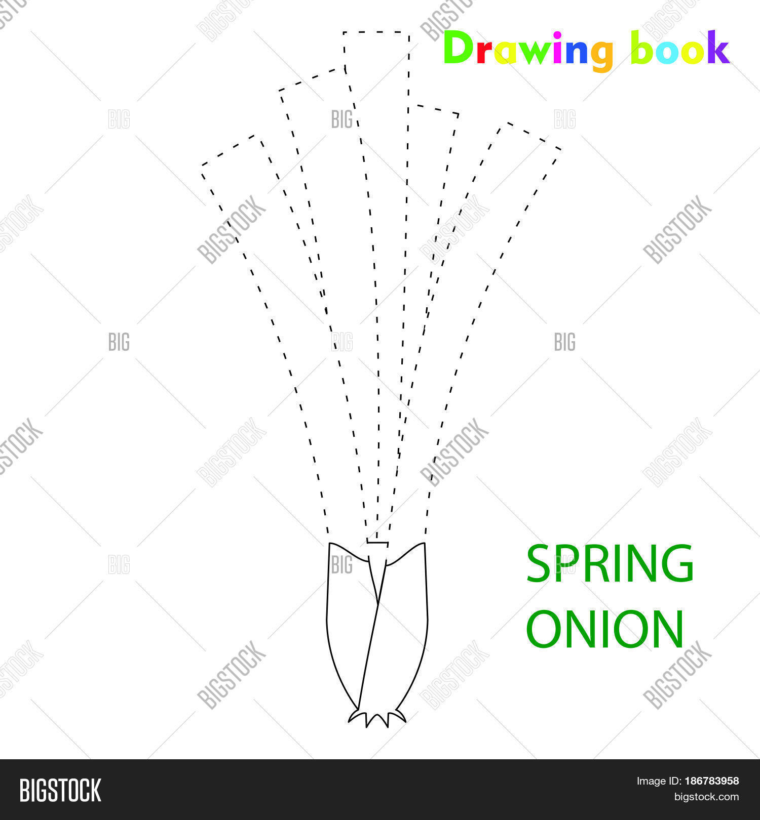 Spring Onion Coloring Vector & Photo (Free Trial) | Bigstock
