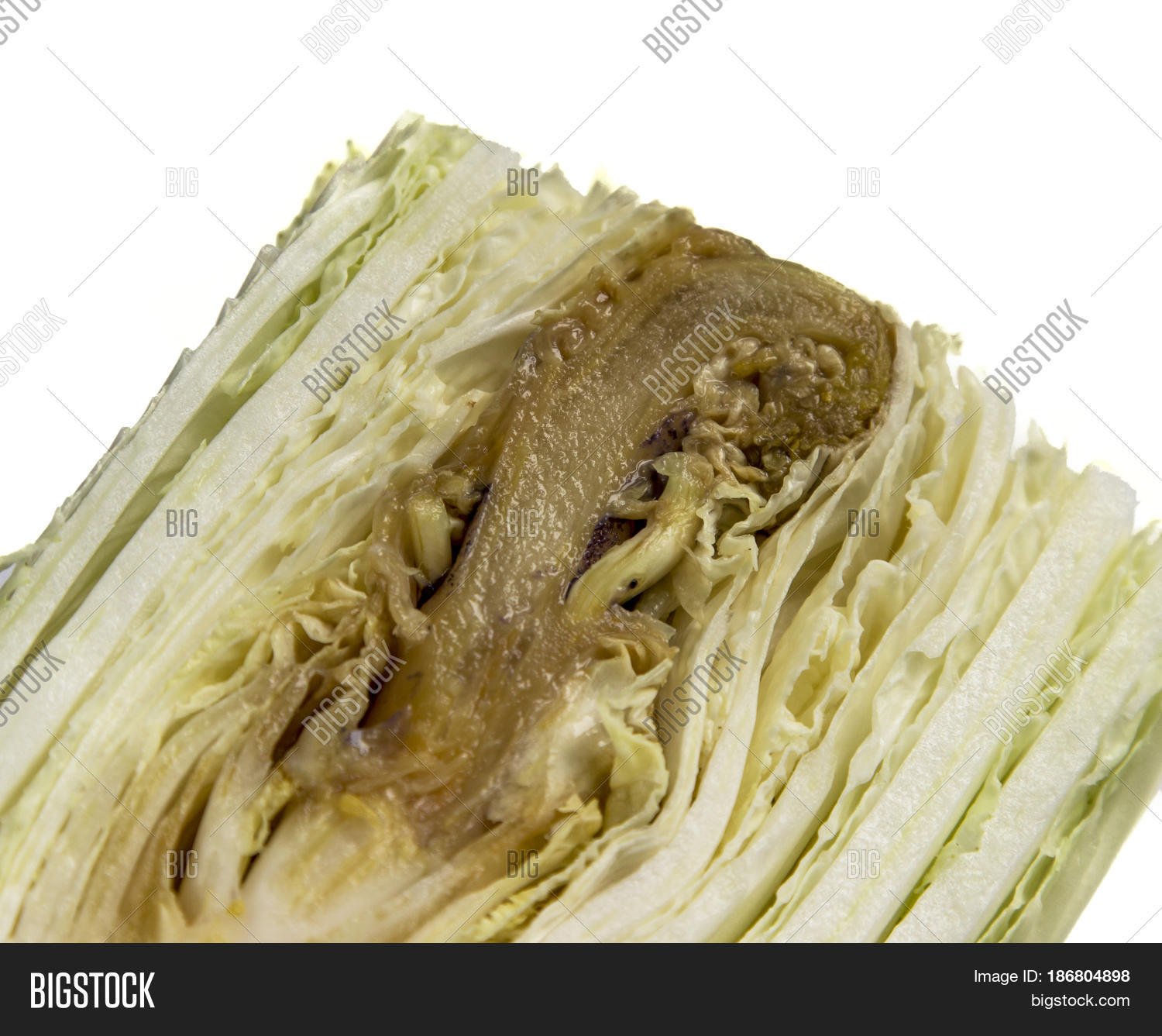 Spoiled Cabbage Image & Photo (Free Trial) | Bigstock