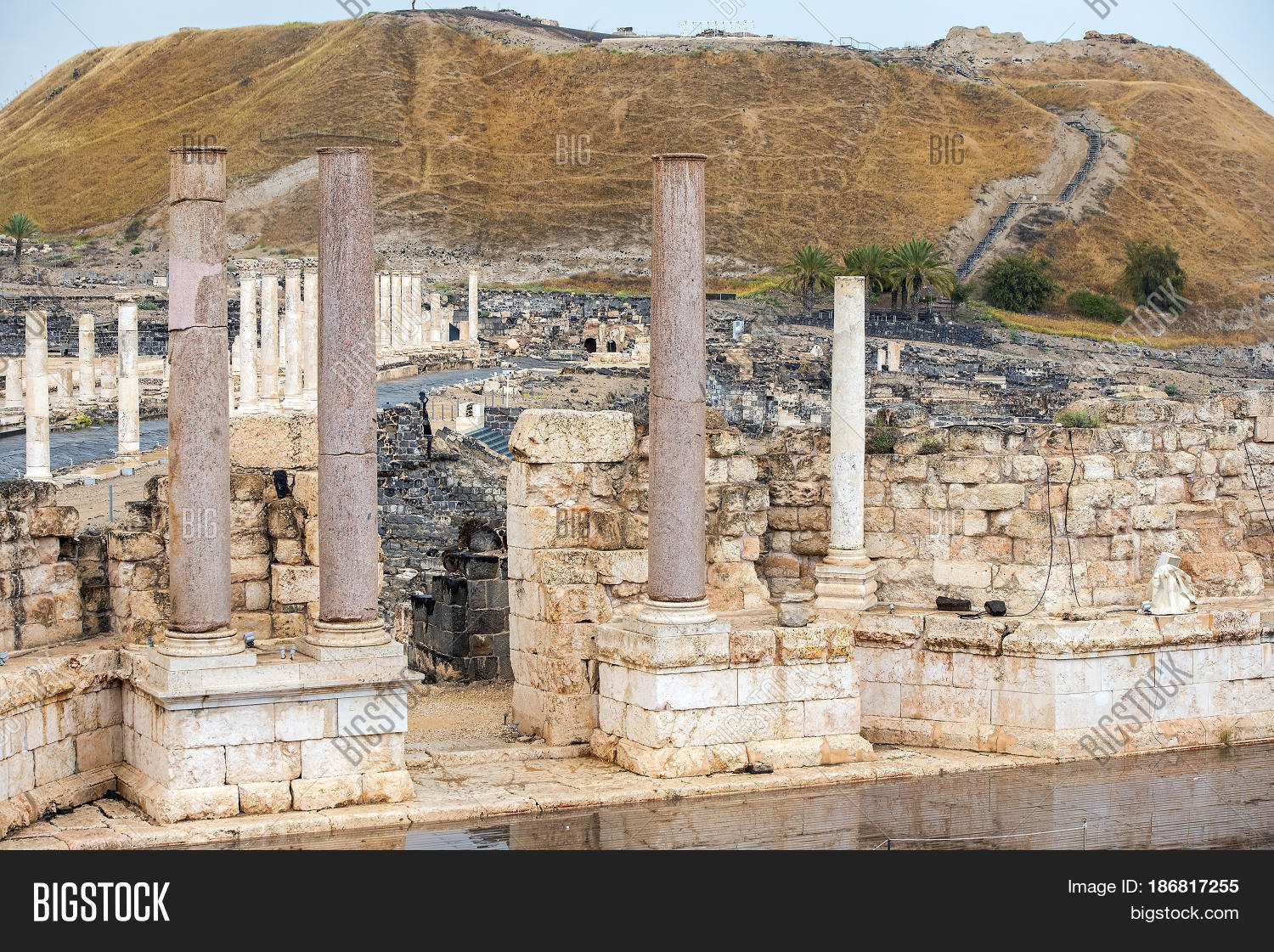 Ancient Street Columns Image & Photo (Free Trial) | Bigstock