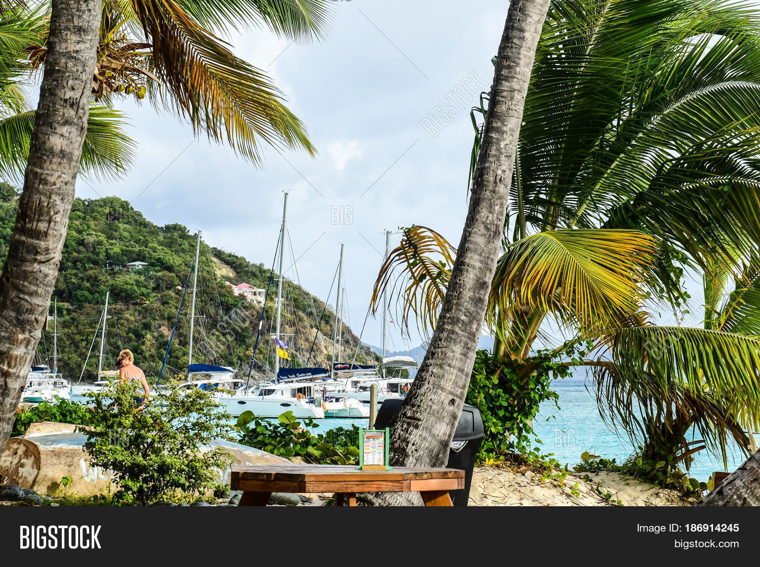 Caribbean Beach Scene Image & Photo (Free Trial) | Bigstock