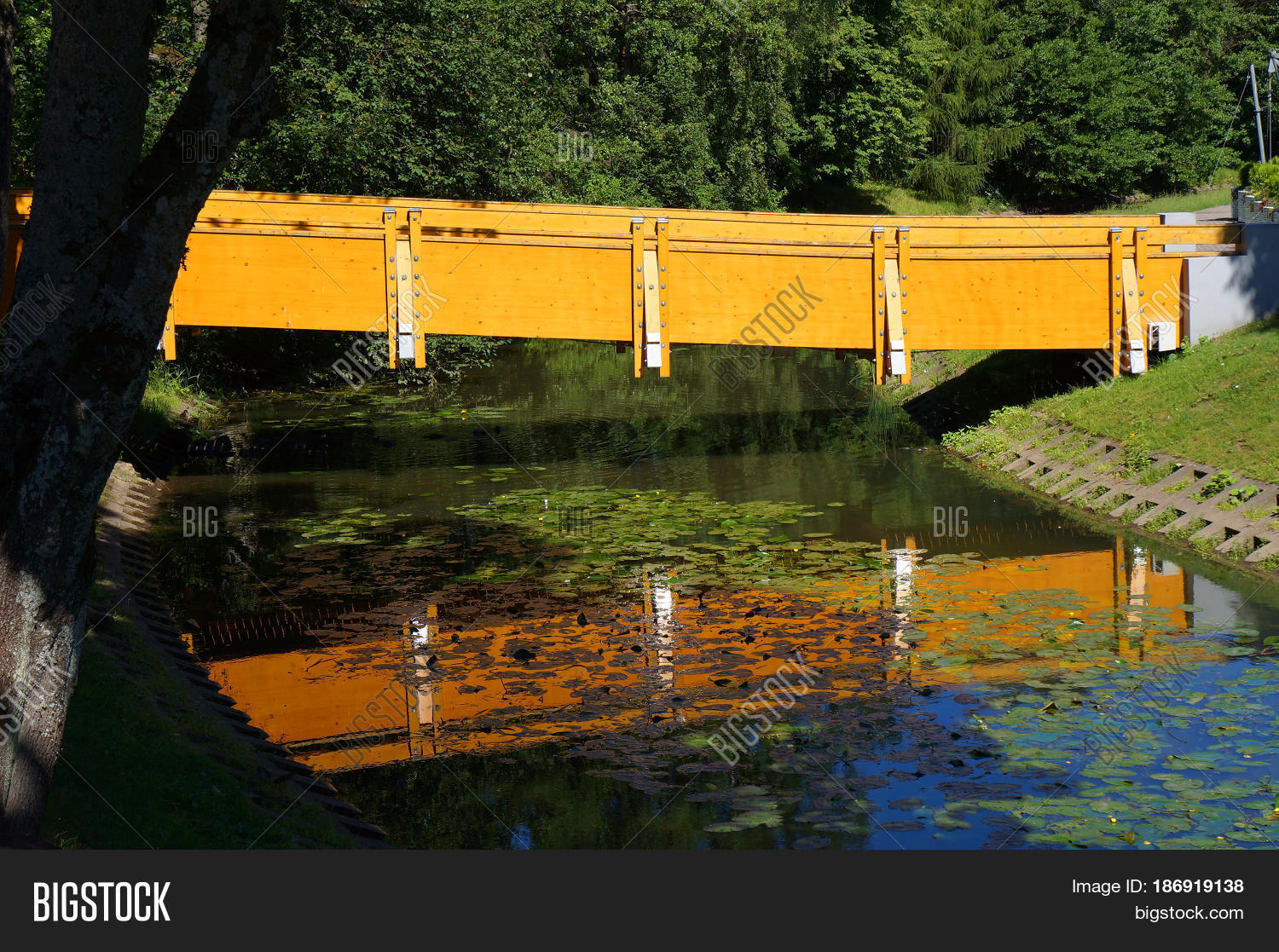 Foot-path Bridge Image & Photo (Free Trial) | Bigstock