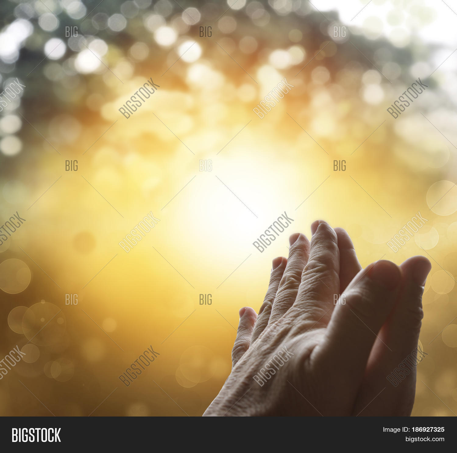 Hands Together Praying Image & Photo (Free Trial) | Bigstock
