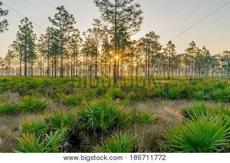 Imagen y foto Triple N Ranch (prueba gratis) | Bigstock