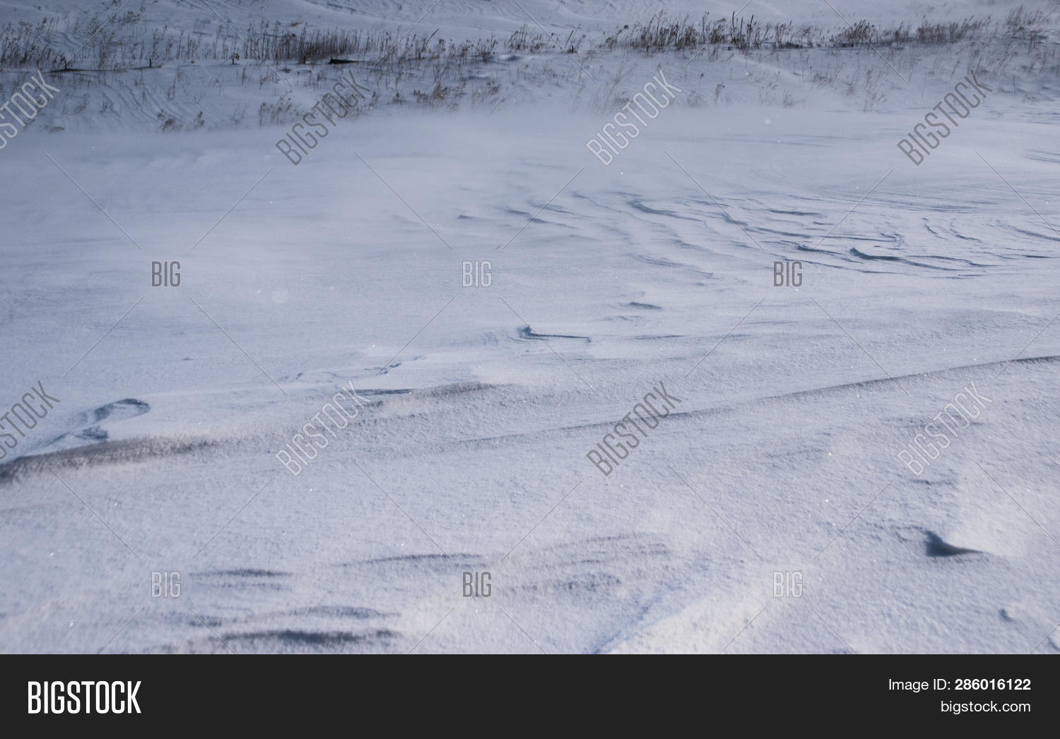 Blowing Snow Snow Image & Photo (Free Trial) | Bigstock