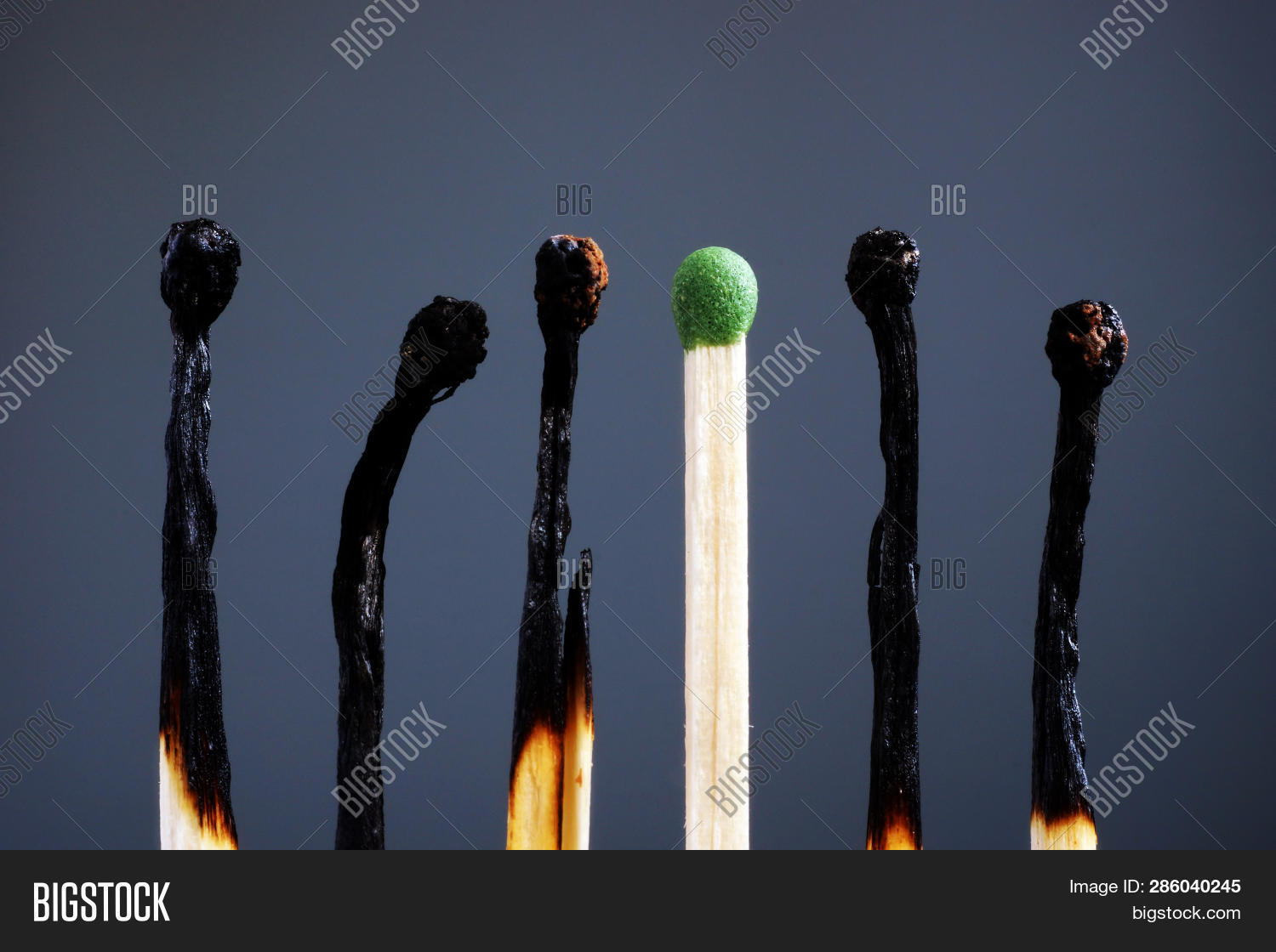 Line Burnt Matches One Image & Photo (Free Trial) | Bigstock