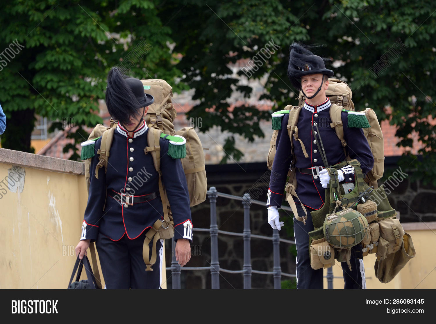 Norwegian King's Guard Image & Photo (Free Trial) | Bigstock