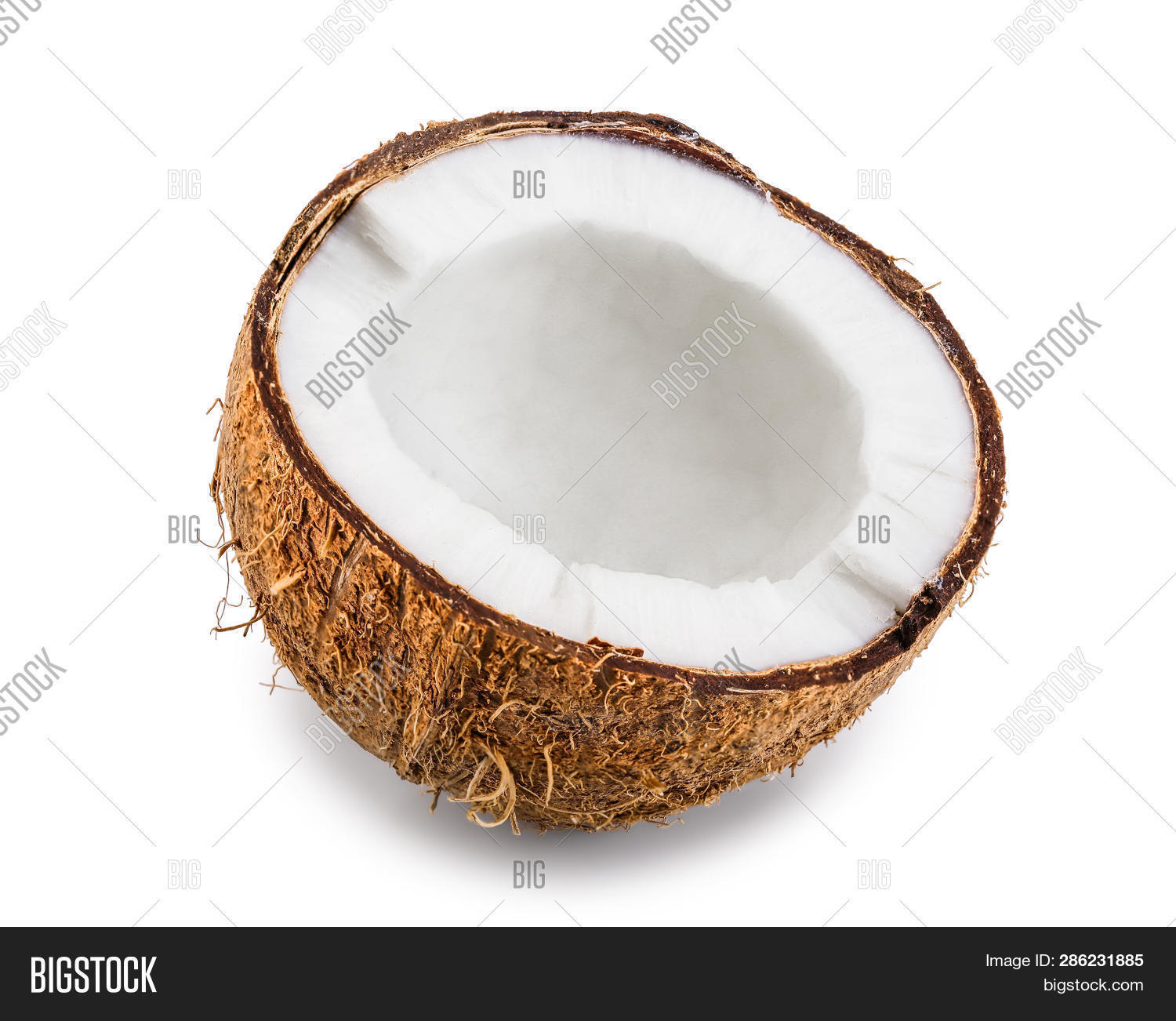 Half Coconut Isolated Image & Photo (Free Trial) | Bigstock