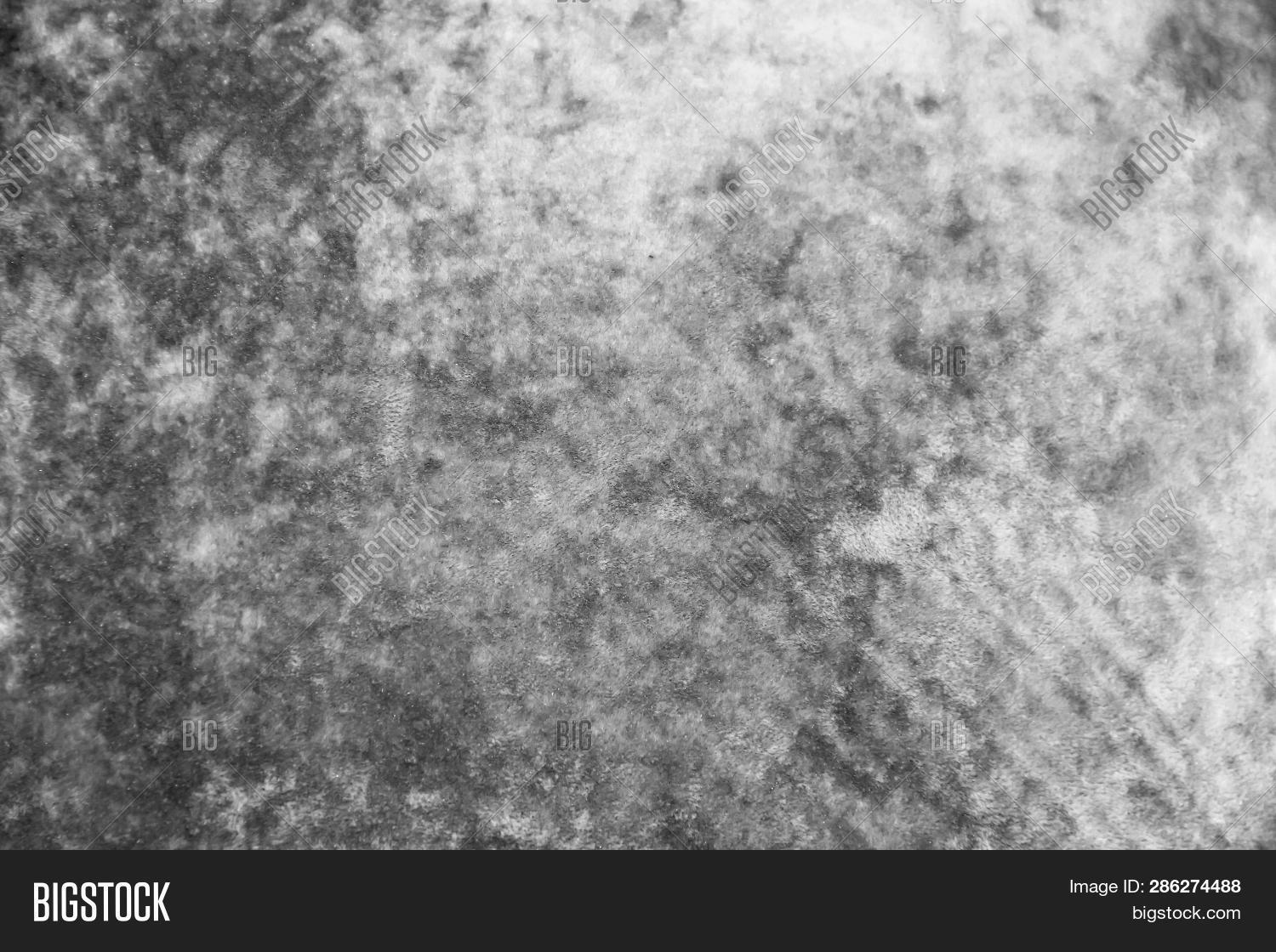 Texture Plush Fabric, Image & Photo (Free Trial) | Bigstock