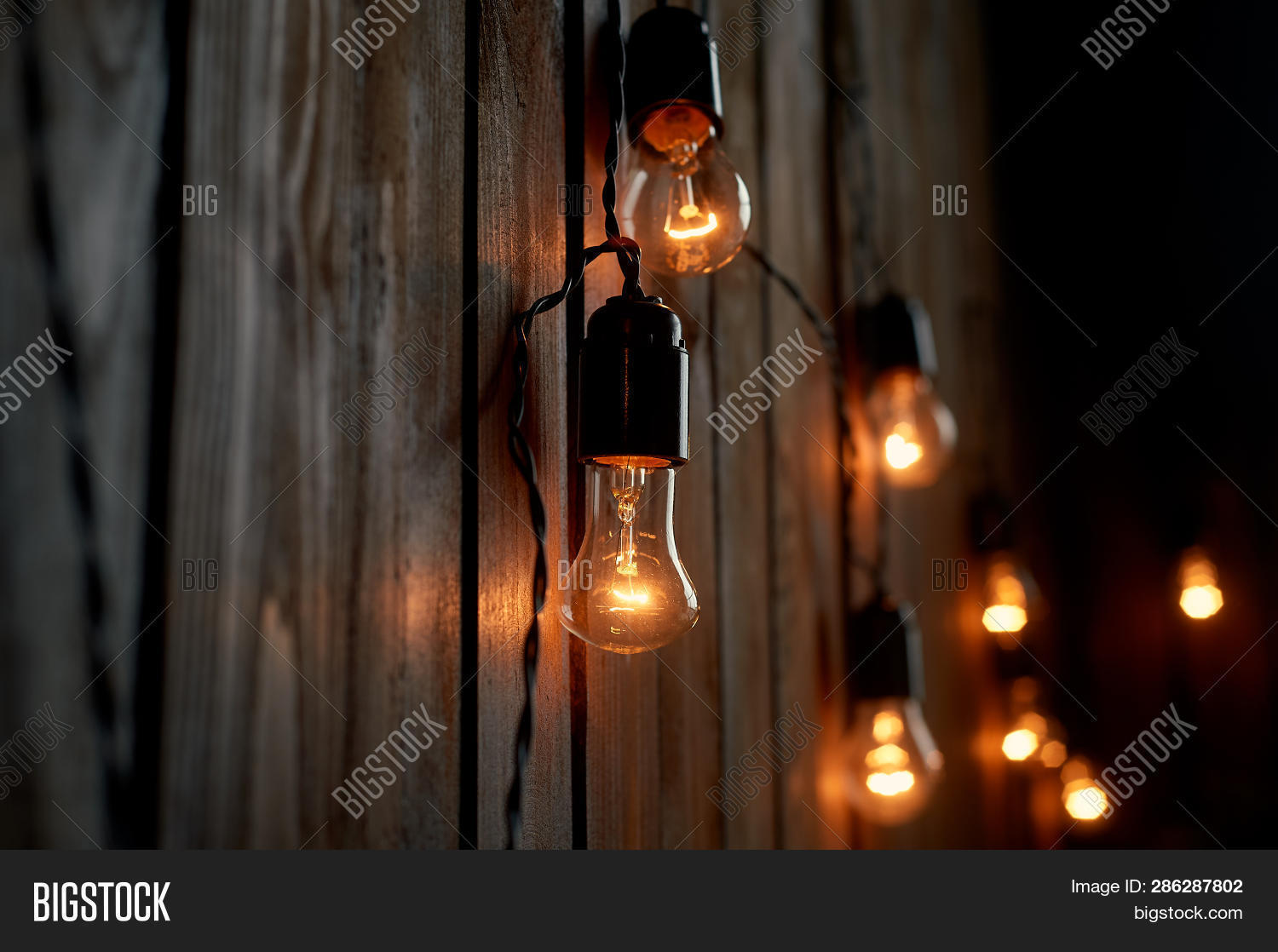 Edison Light Bulb Image & Photo (Free Trial) | Bigstock