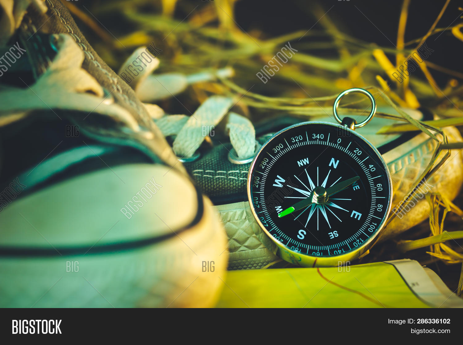 Compass Paper Maps Image & Photo (Free Trial) | Bigstock