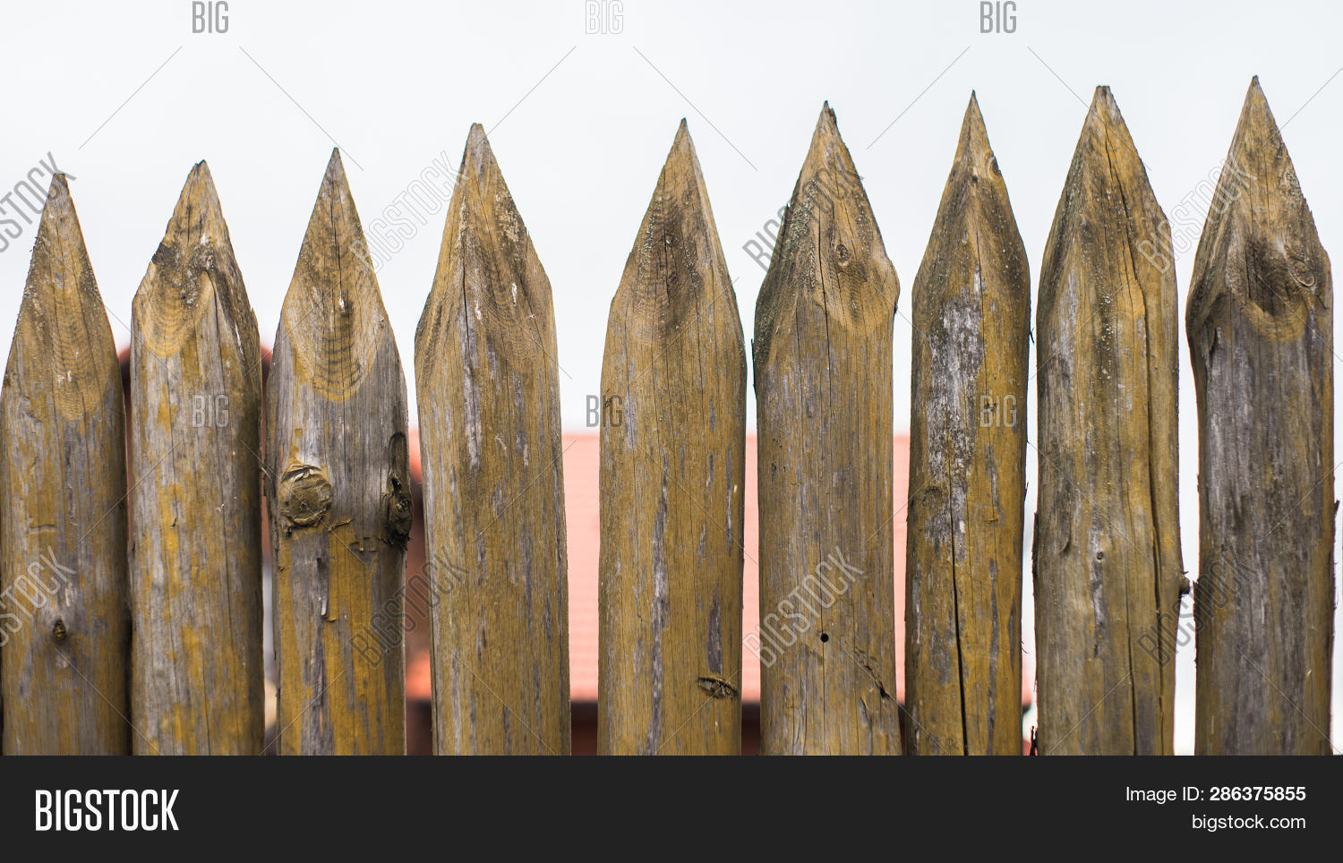 Fence Made Sharp Image & Photo (Free Trial) | Bigstock