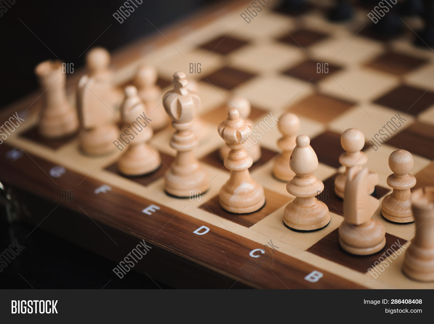 Chess Game, Knight , Image & Photo (Free Trial) | Bigstock
