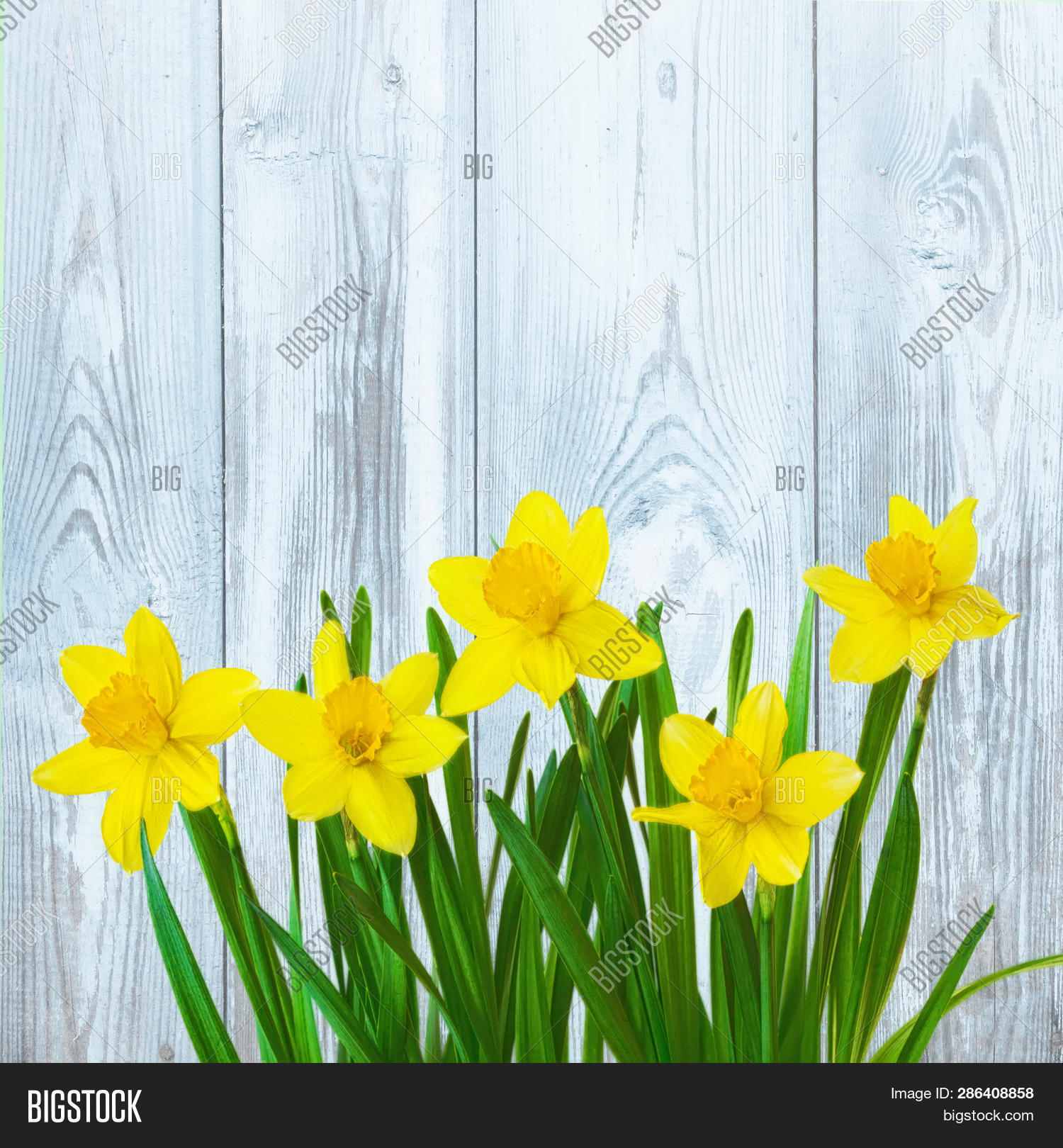 Rustic Background Image & Photo (Free Trial) | Bigstock