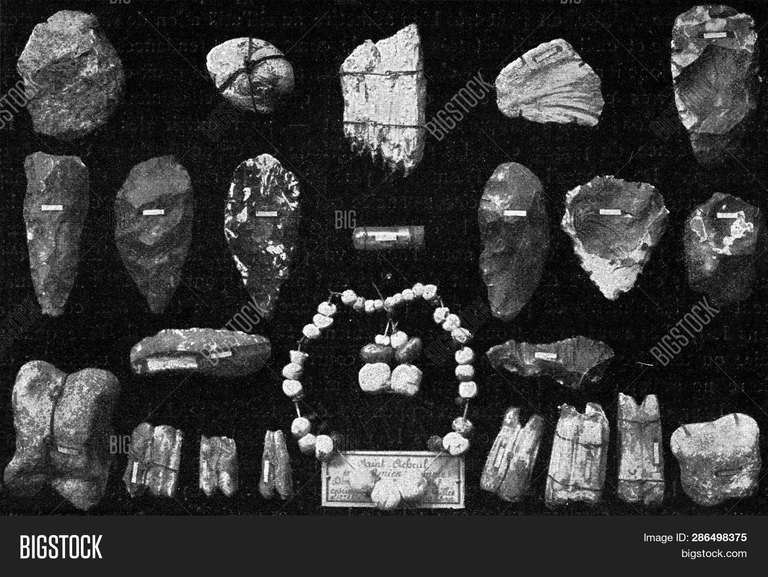 Objects Art Flint Bone Image & Photo (Free Trial) | Bigstock