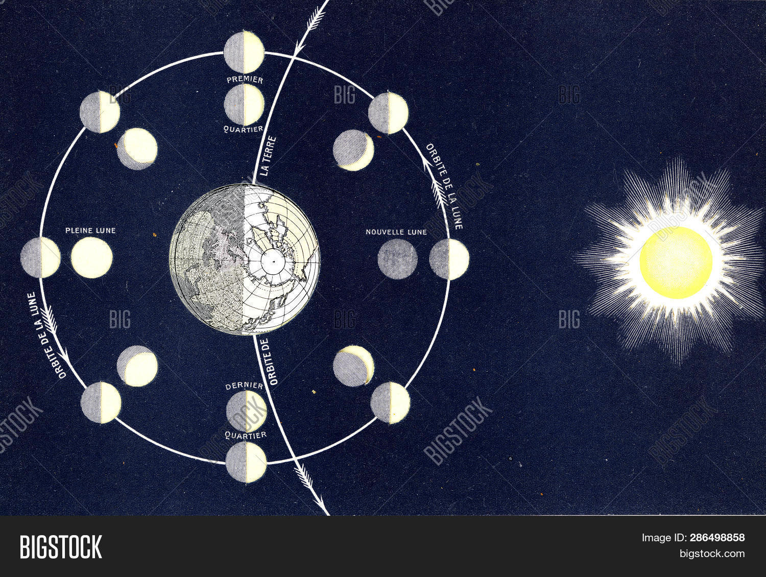 Phases Moon, Vintage Image & Photo (Free Trial) | Bigstock