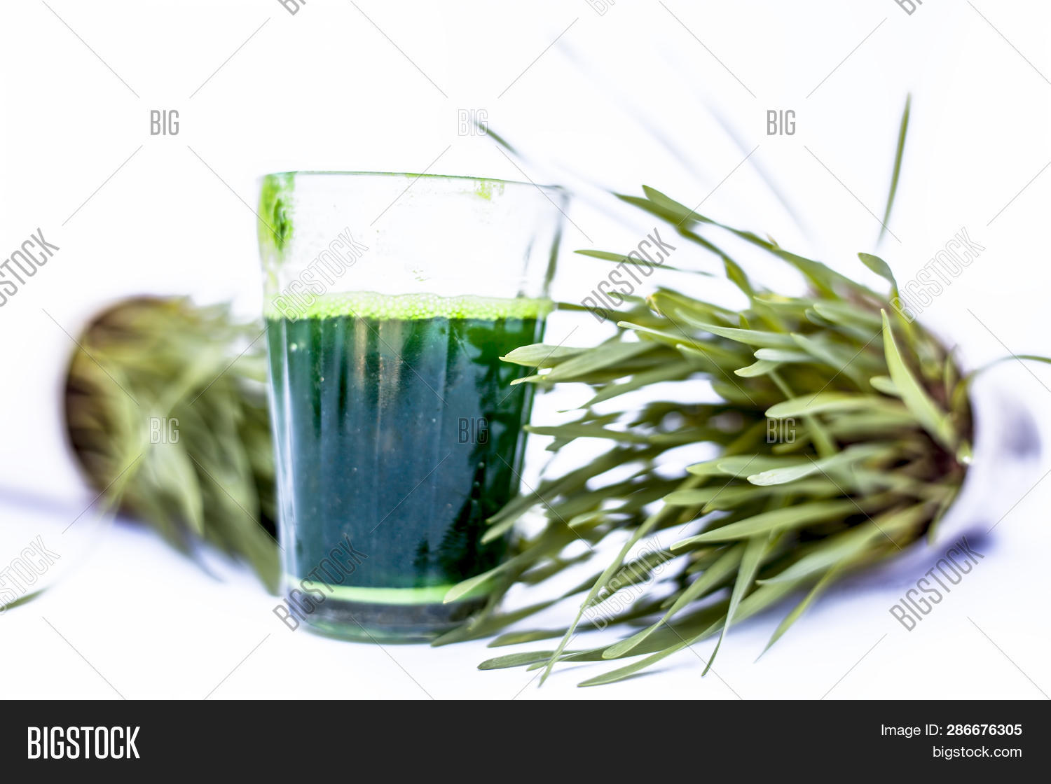 Wheatgrass Extract/ Image & Photo (Free Trial) | Bigstock