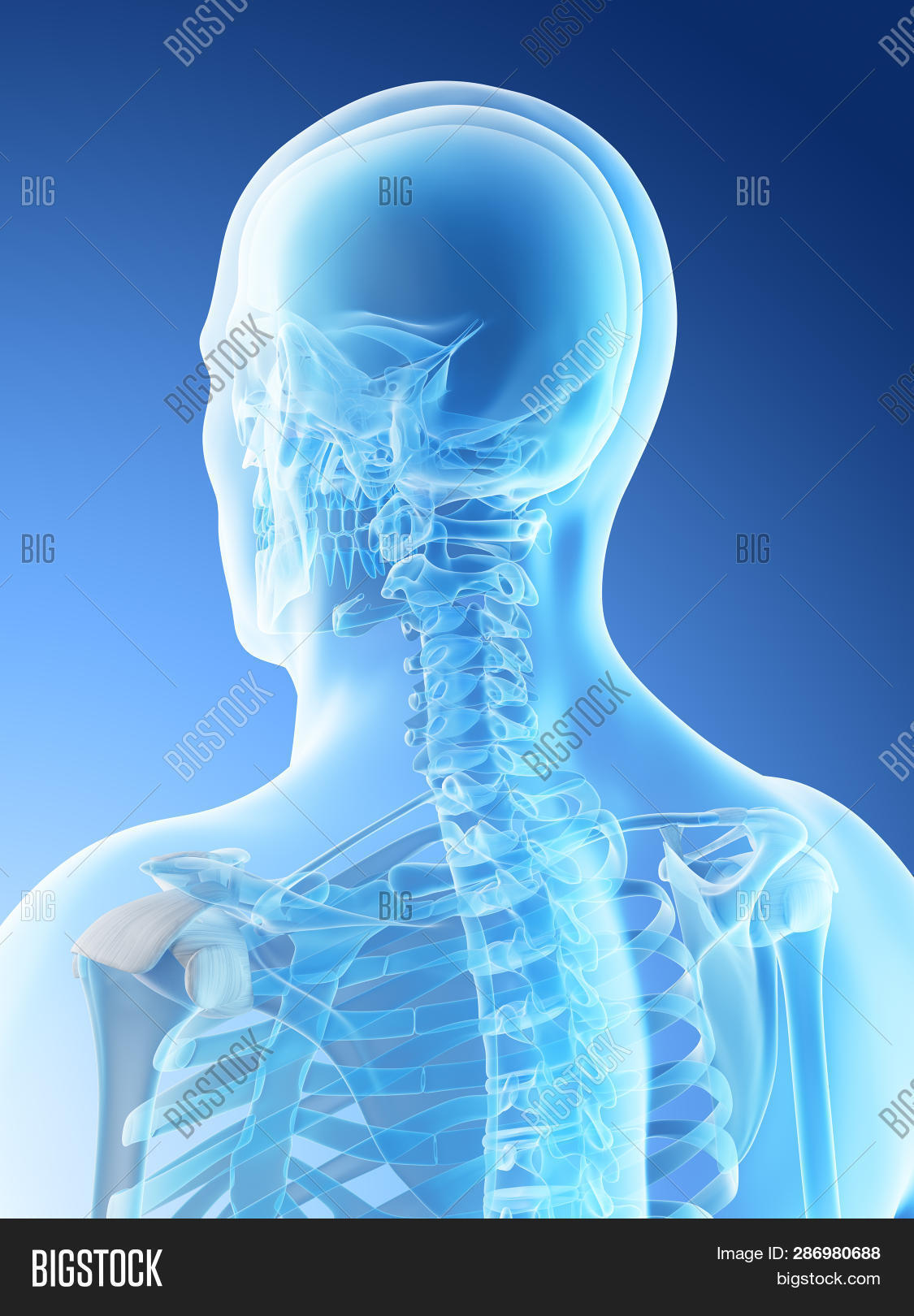 3d Rendered Image & Photo (Free Trial) | Bigstock