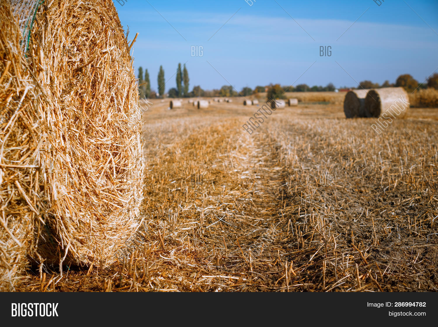 Hay Bail Harvesting Image & Photo (Free Trial) | Bigstock