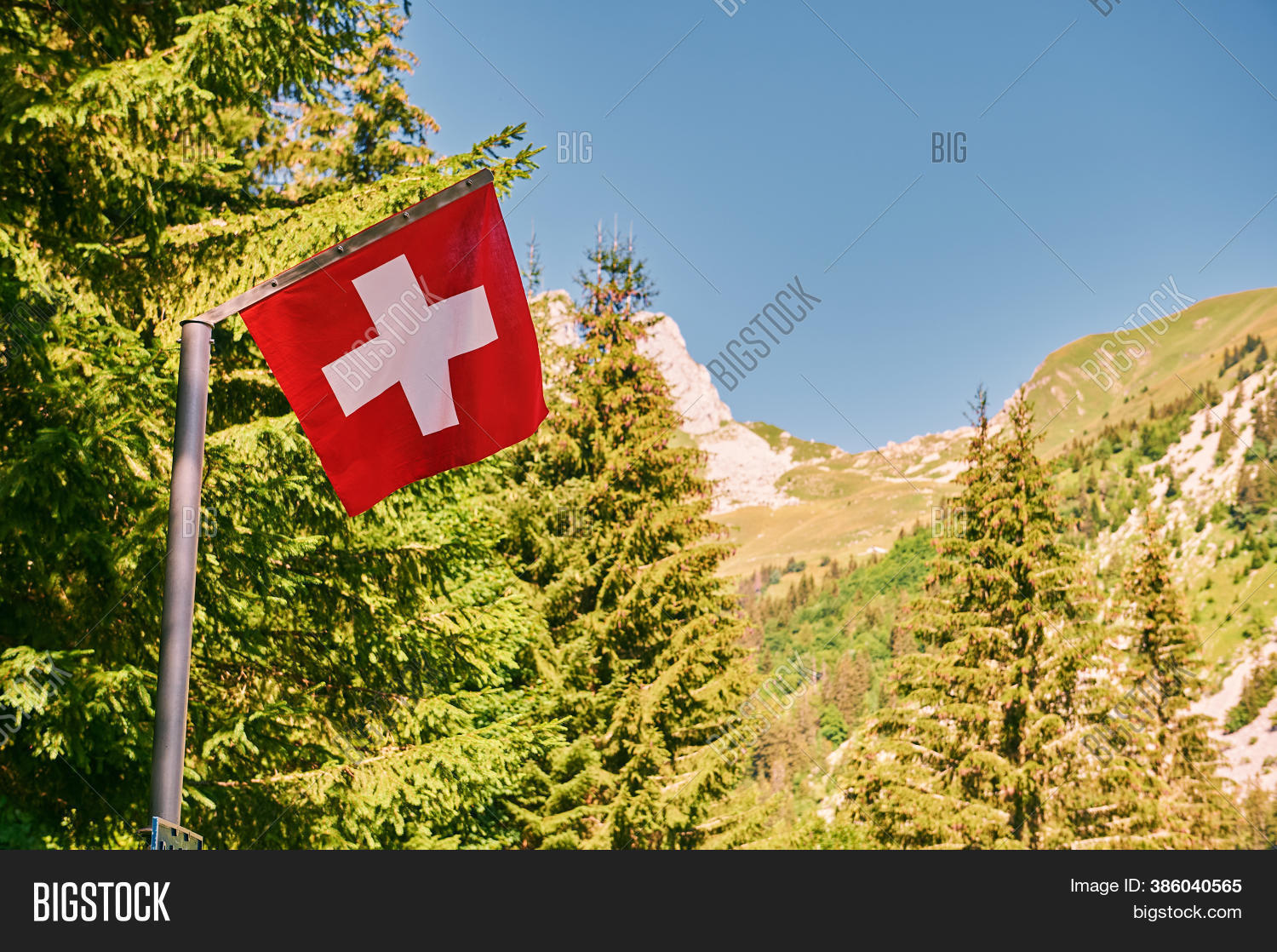 Swiss Flag Flies Image & Photo (Free Trial) | Bigstock