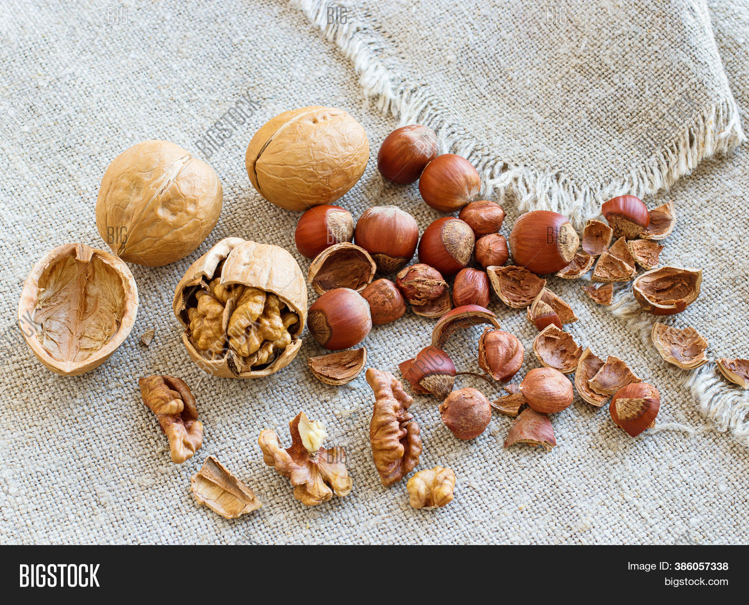 Hazelnuts Walnuts On Image & Photo (Free Trial) | Bigstock