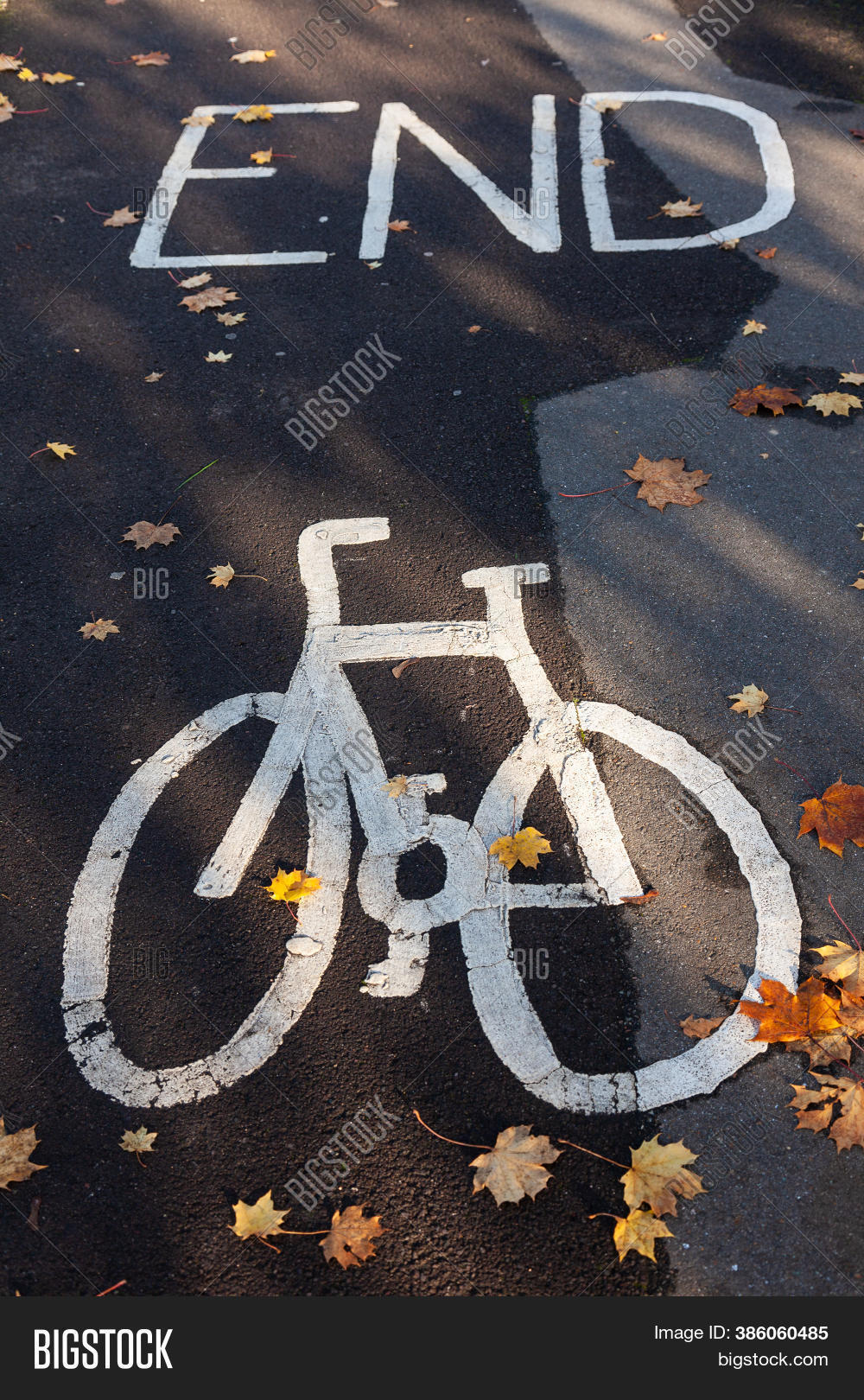 End Bicycle Cycle Lane Image & Photo (Free Trial) | Bigstock
